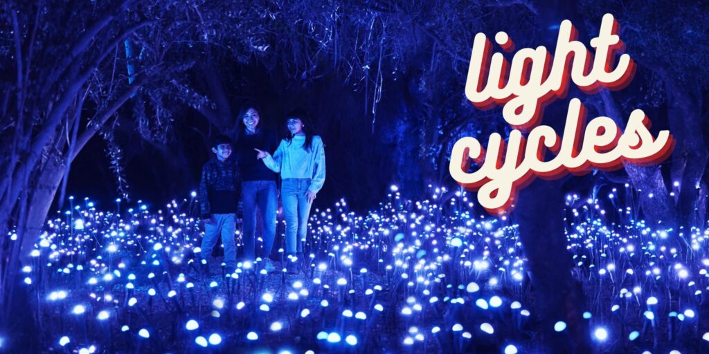 Light Cycles Paris