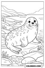 Coloriage Phoque téléchargement gratuit du PDF